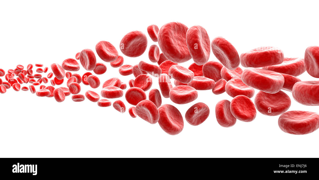 Blood cells on white background Stock Photo - Alamy