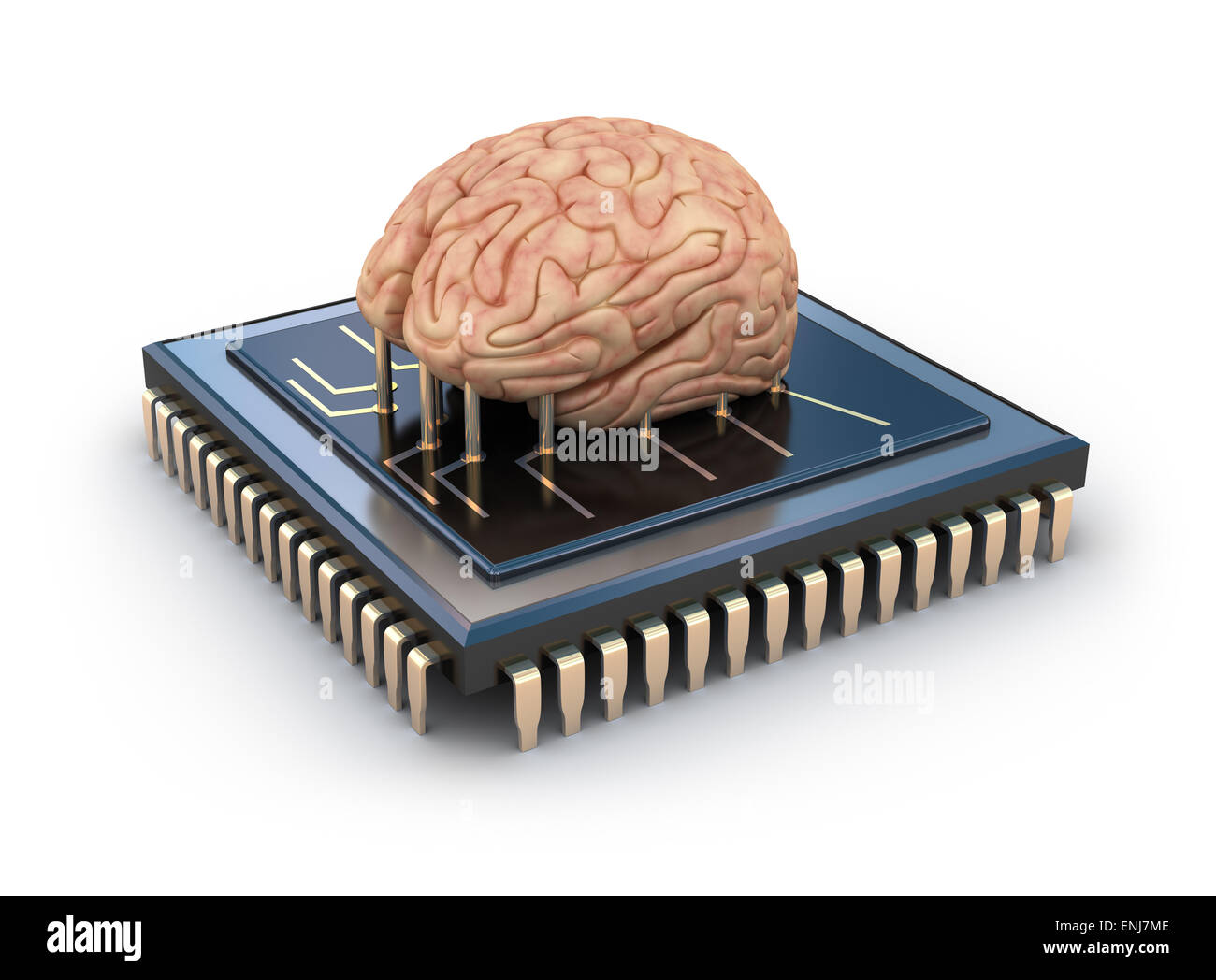 Human brain and computer chip, 3D concept Stock Photo - Alamy