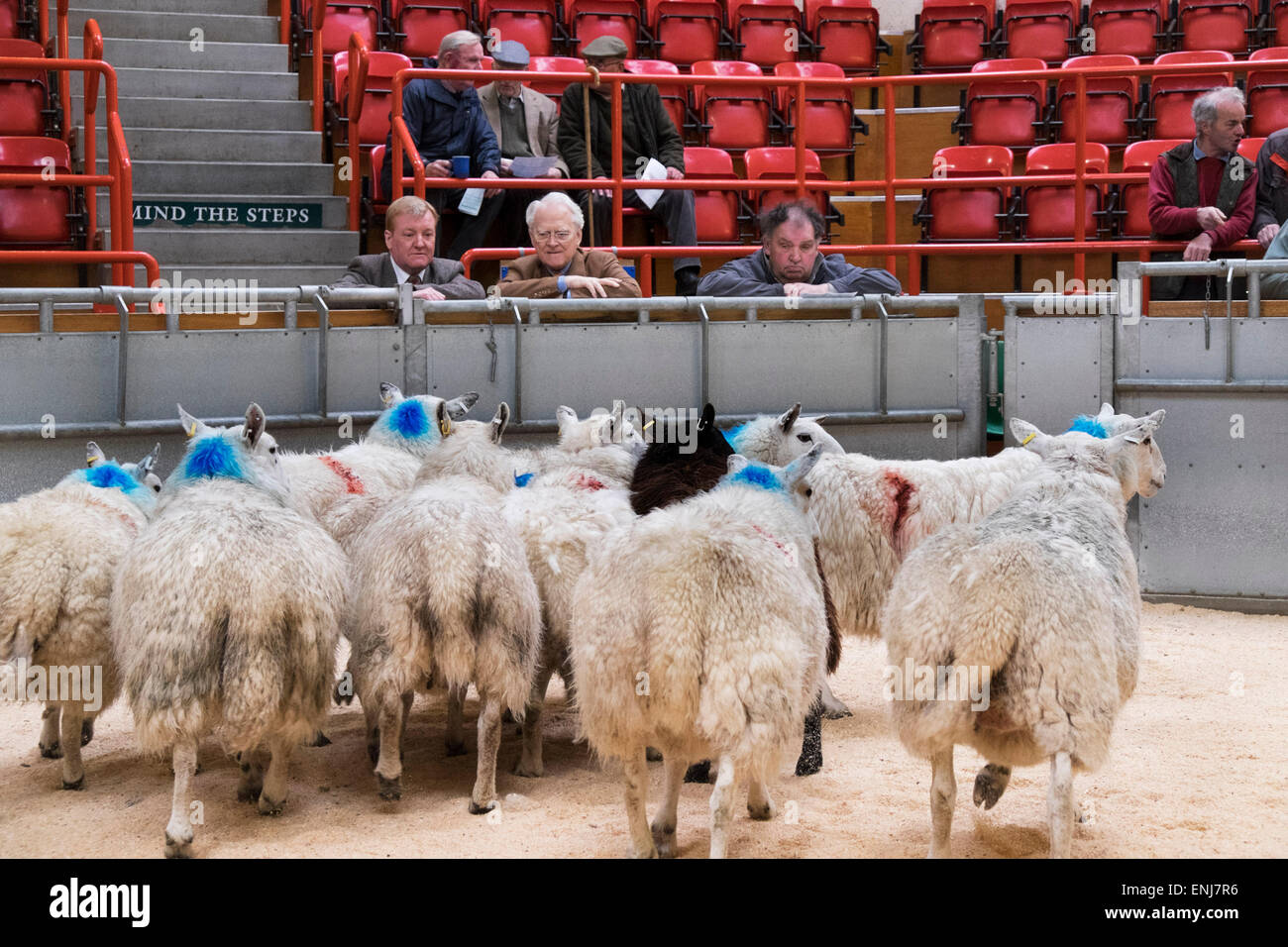 Charles kennedy market hi-res stock photography and images - Alamy