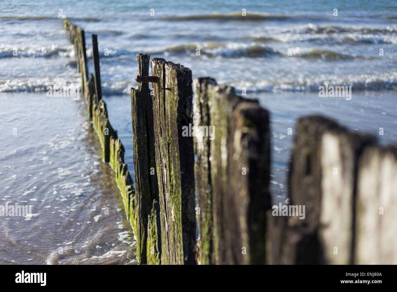 Wood Groins High Resolution Stock Photography and Images - Alamy