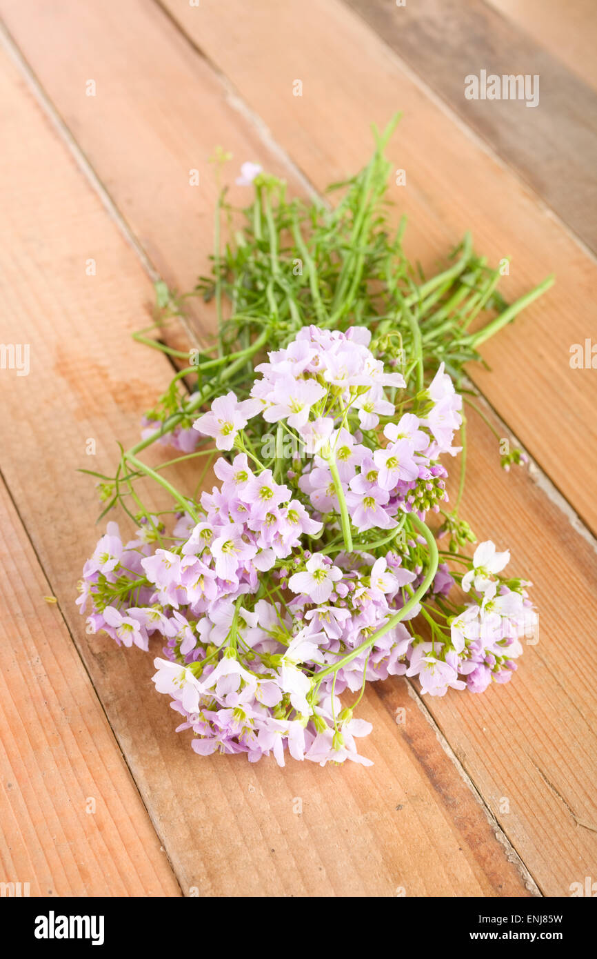 Cardamine pratensis flowers Stock Photo - Alamy