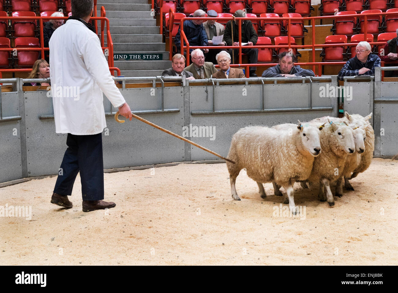 2015 charles kennedy democrat hi-res stock photography and images - Alamy