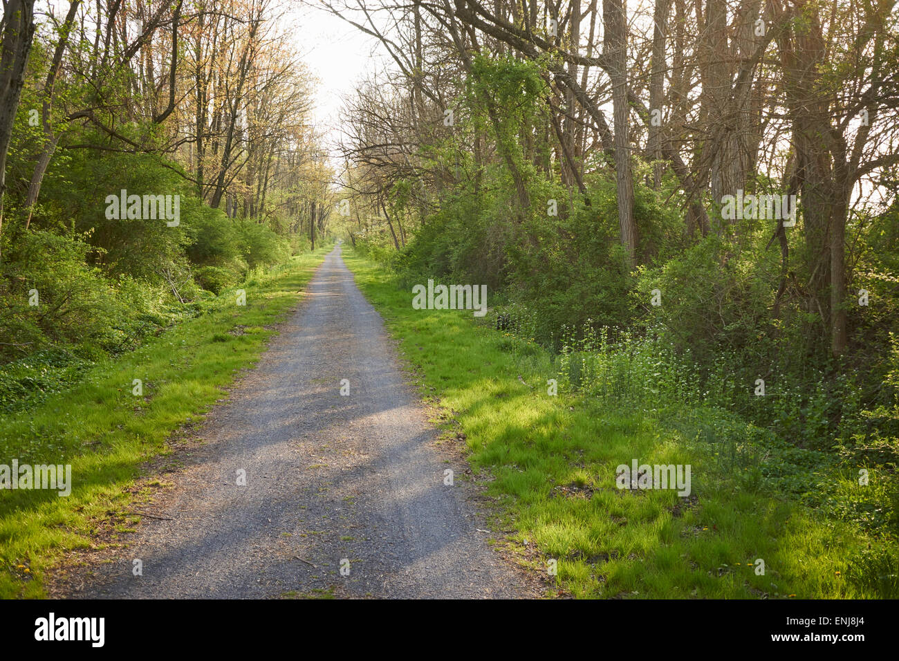 Lebanon Valley Rail Trail near Colebrook, Pennsylvania, USA Stock Photo ...
