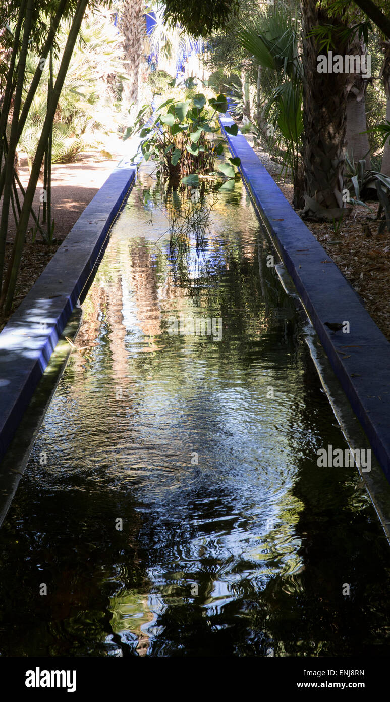 Yves Saint Laurent garden Morocco Marrakech Marrakesh Moroccan gardens ...