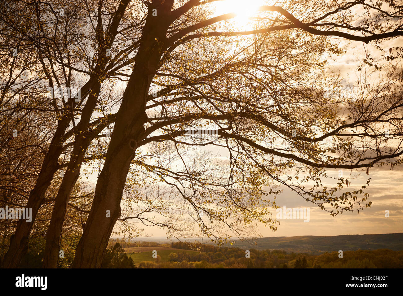 Spring, budding trees and rolling green hills, York County ...