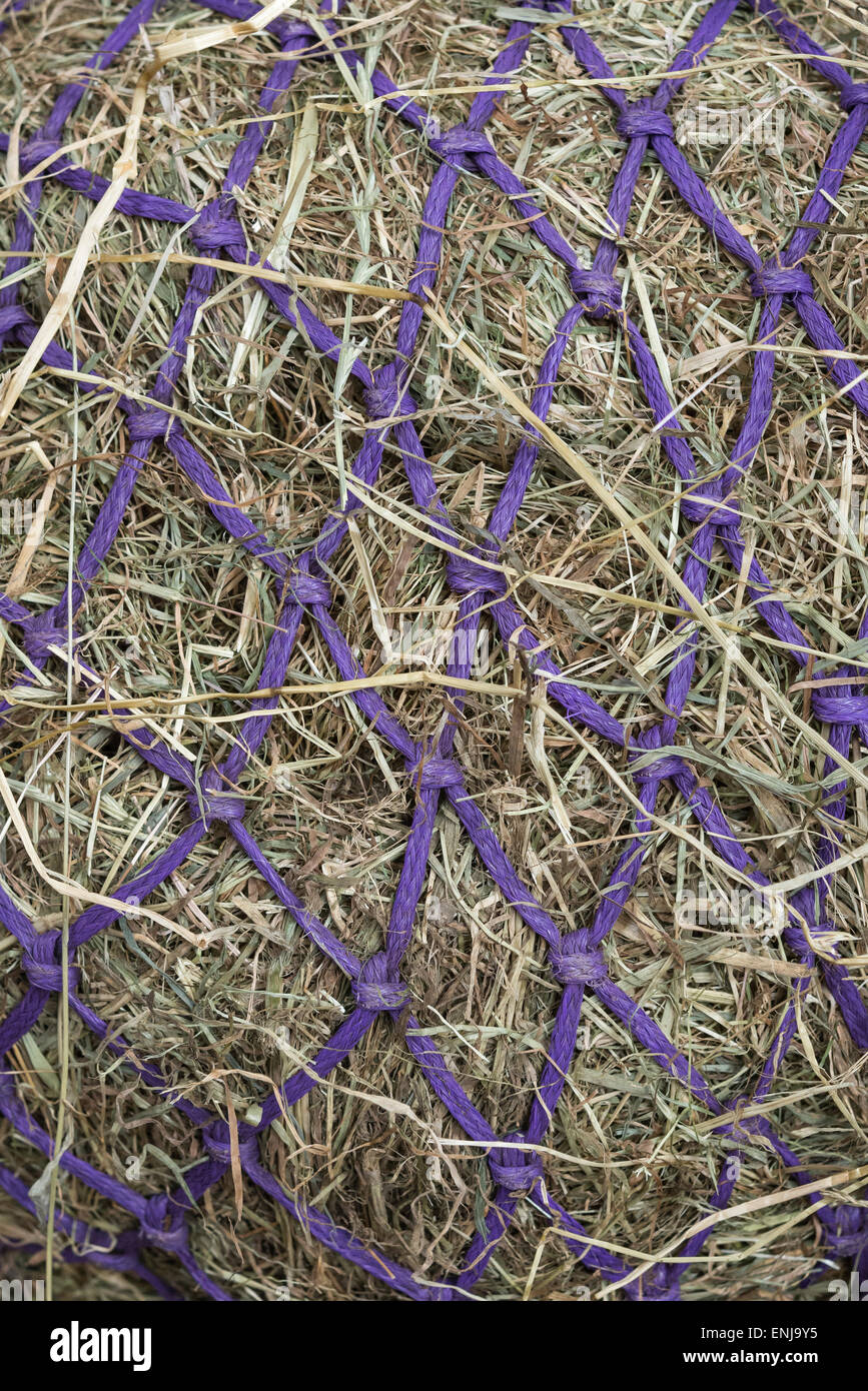 Hay net hi-res stock photography and images - Alamy