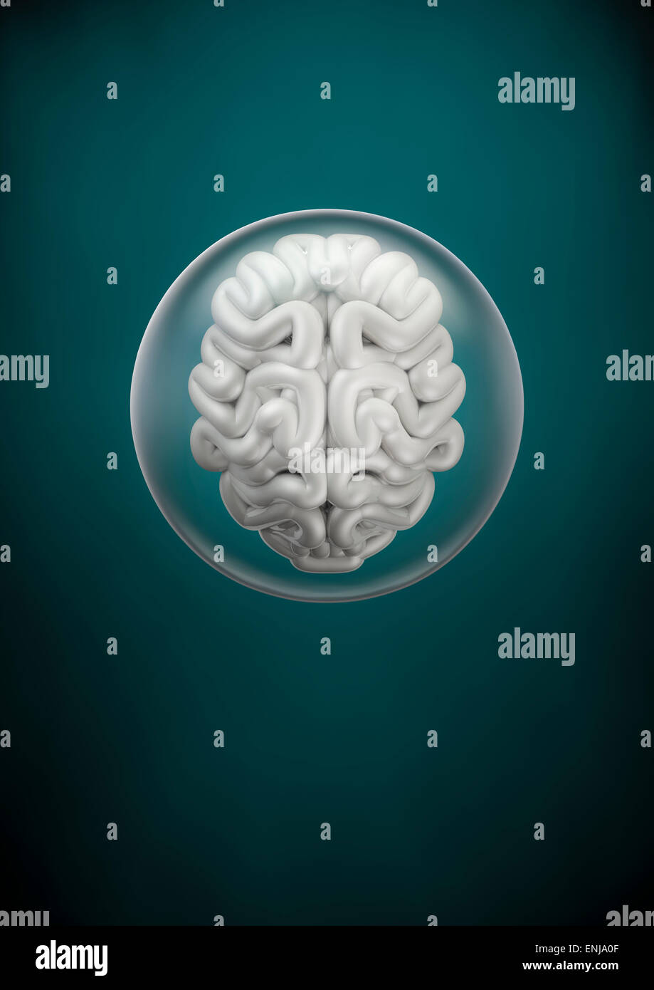 Globe brain hi-res stock photography and images - Alamy