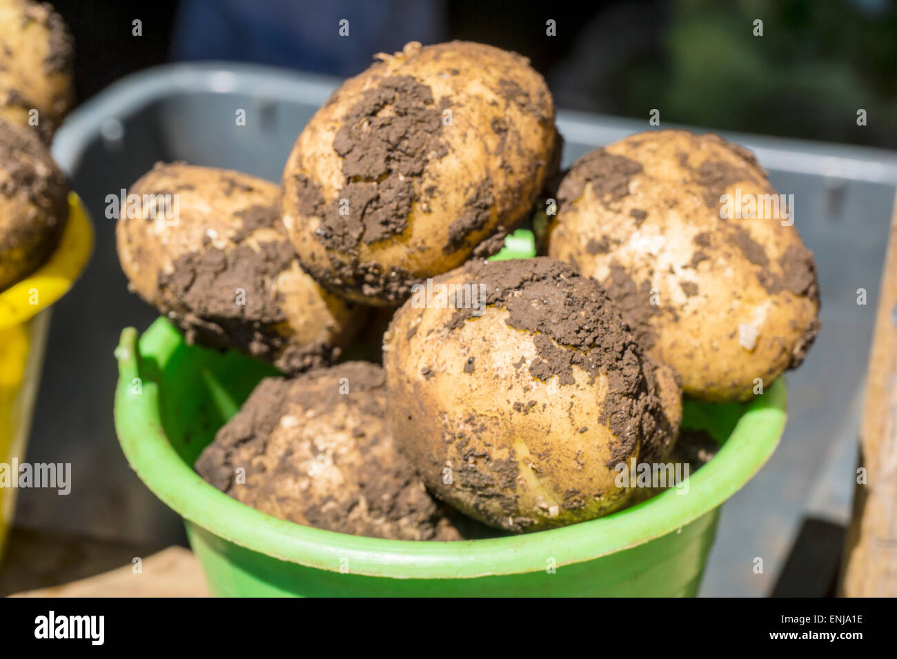 Bounty of earth hi-res stock photography and images - Alamy