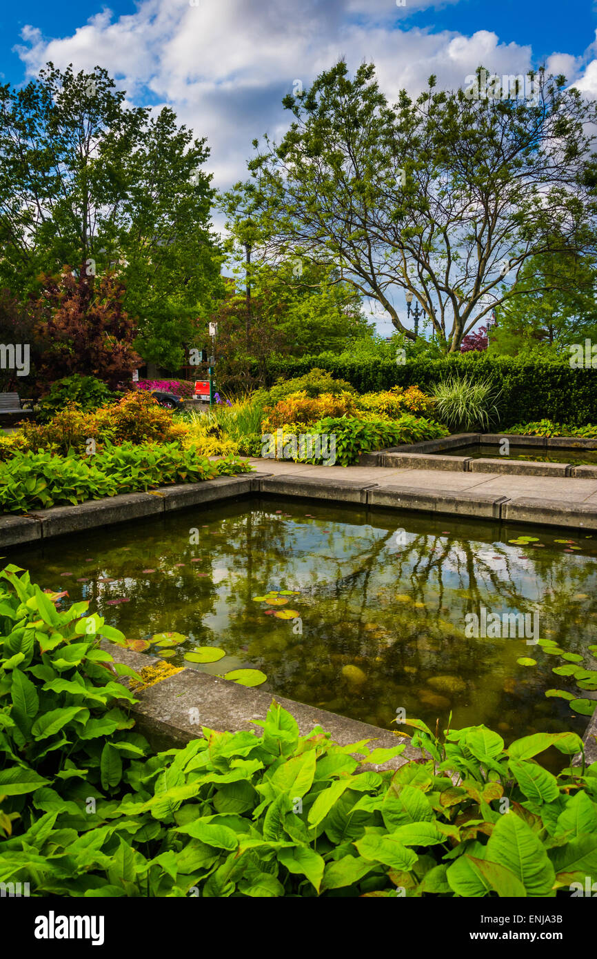 Gardens at the South Waterfront Park in Portland, Oregon Stock Photo ...
