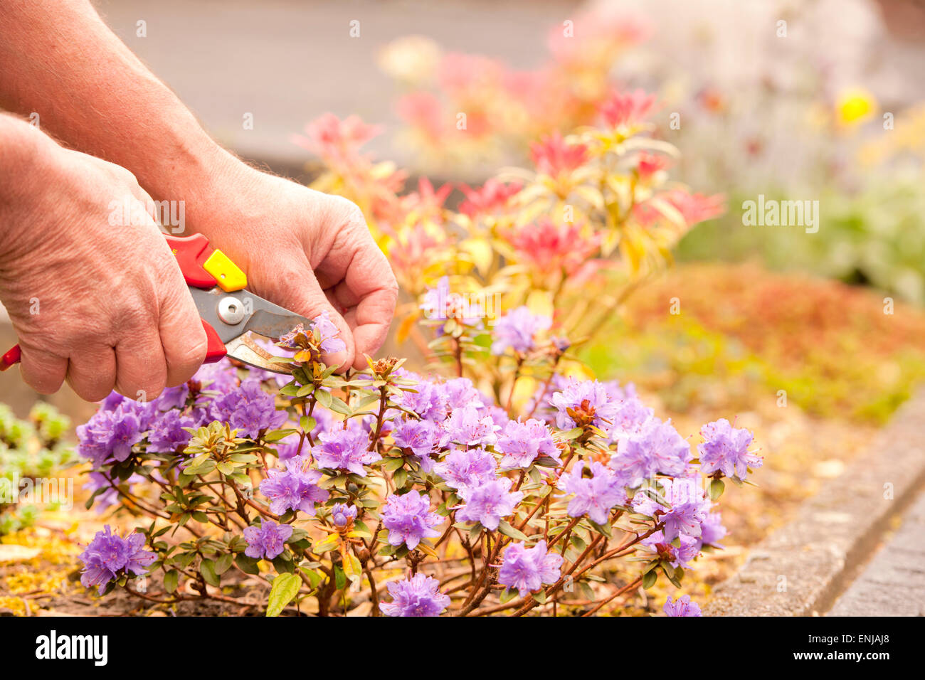 Perform maintenance hi-res stock photography and images - Alamy