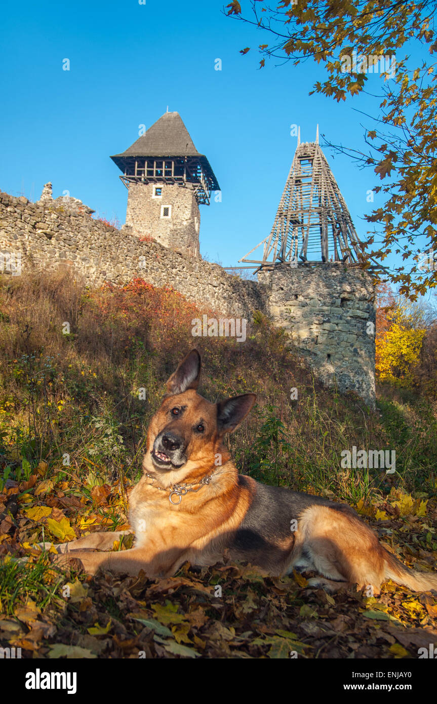 Nevitsky Castle ruins Kamyanitsa village , 12 km north of Uzhgorod ...