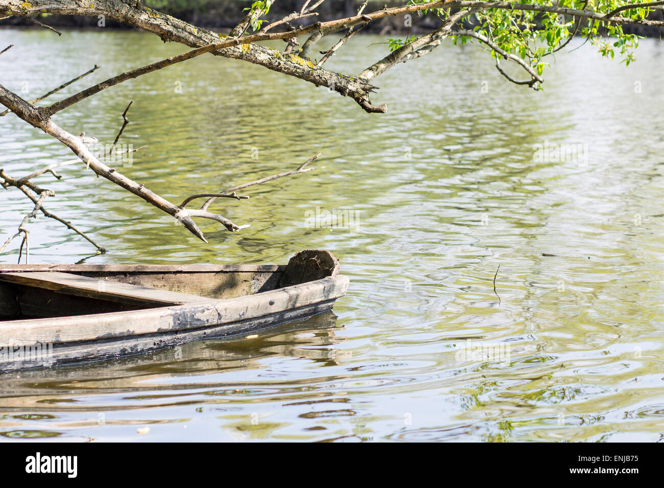 Old waterlogged boat at the pond with trees around Stock Photo - Alamy