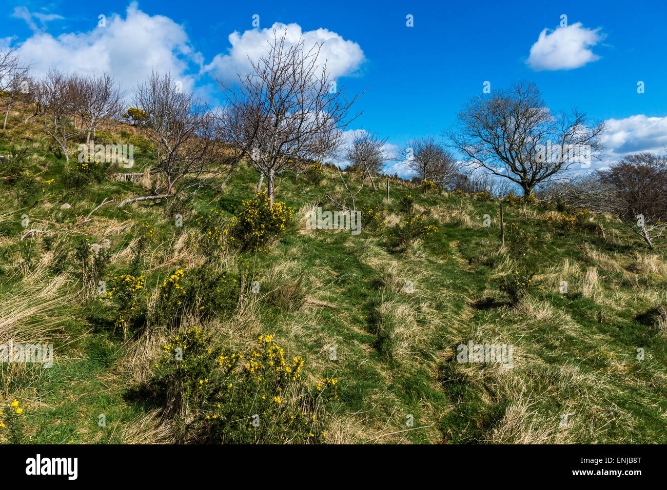 Field paths hi-res stock photography and images - Alamy