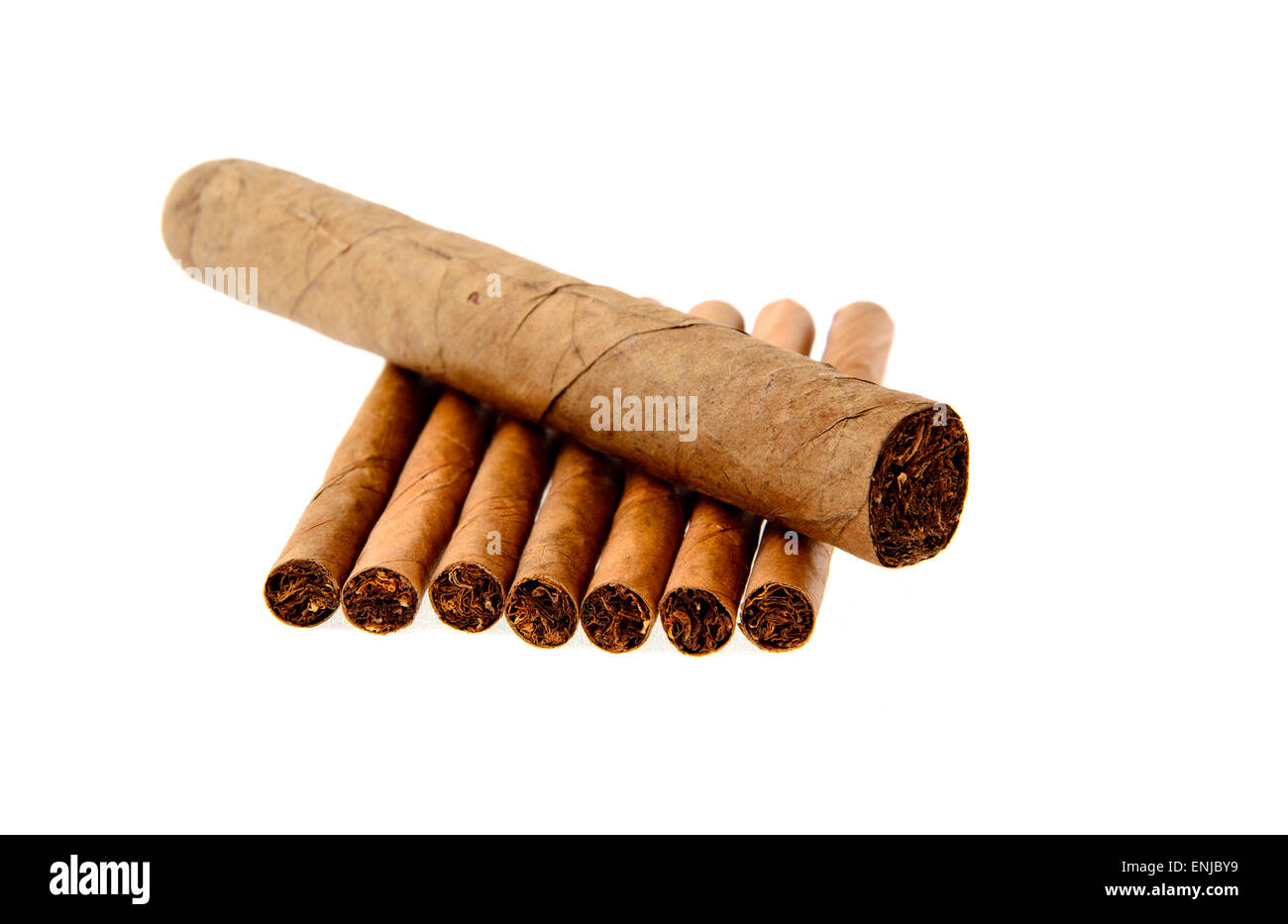 Hand rolled cigars Cut Out Stock Images & Pictures - Alamy