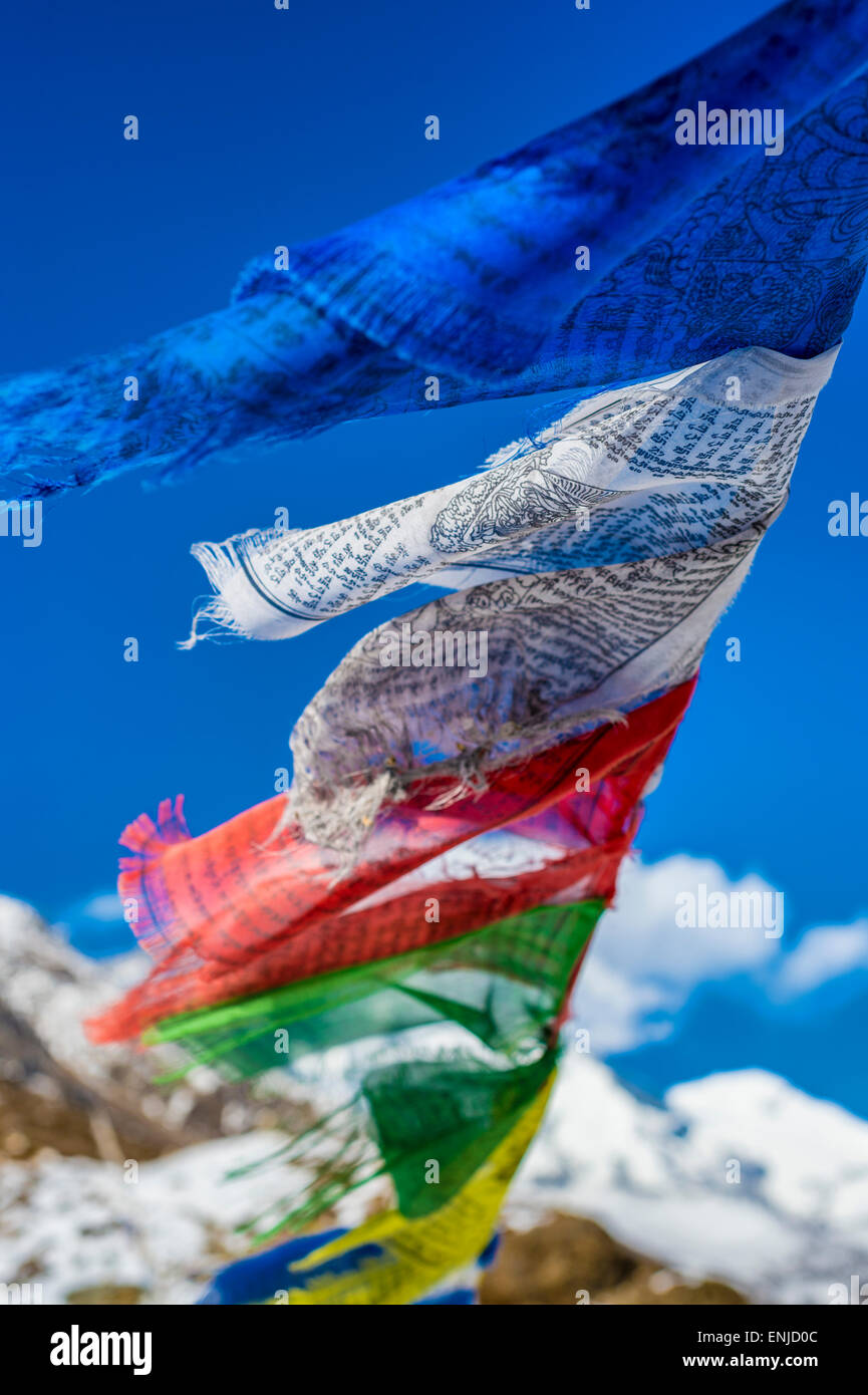 Prayer flags in the Himalayas Stock Photo - Alamy
