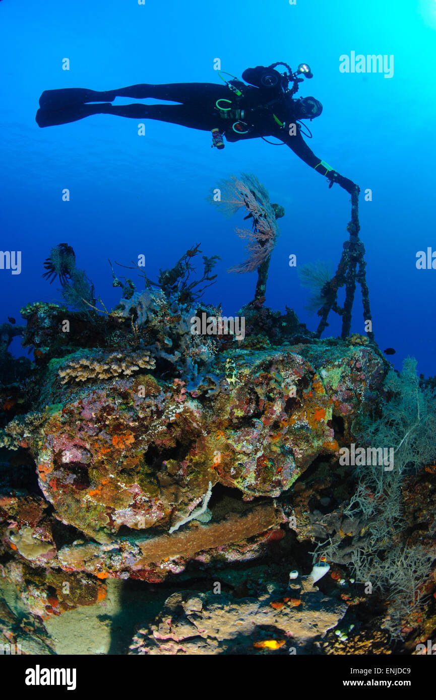 A diver hangs on to a piece of stern wreckage on the cross wreck, a ...