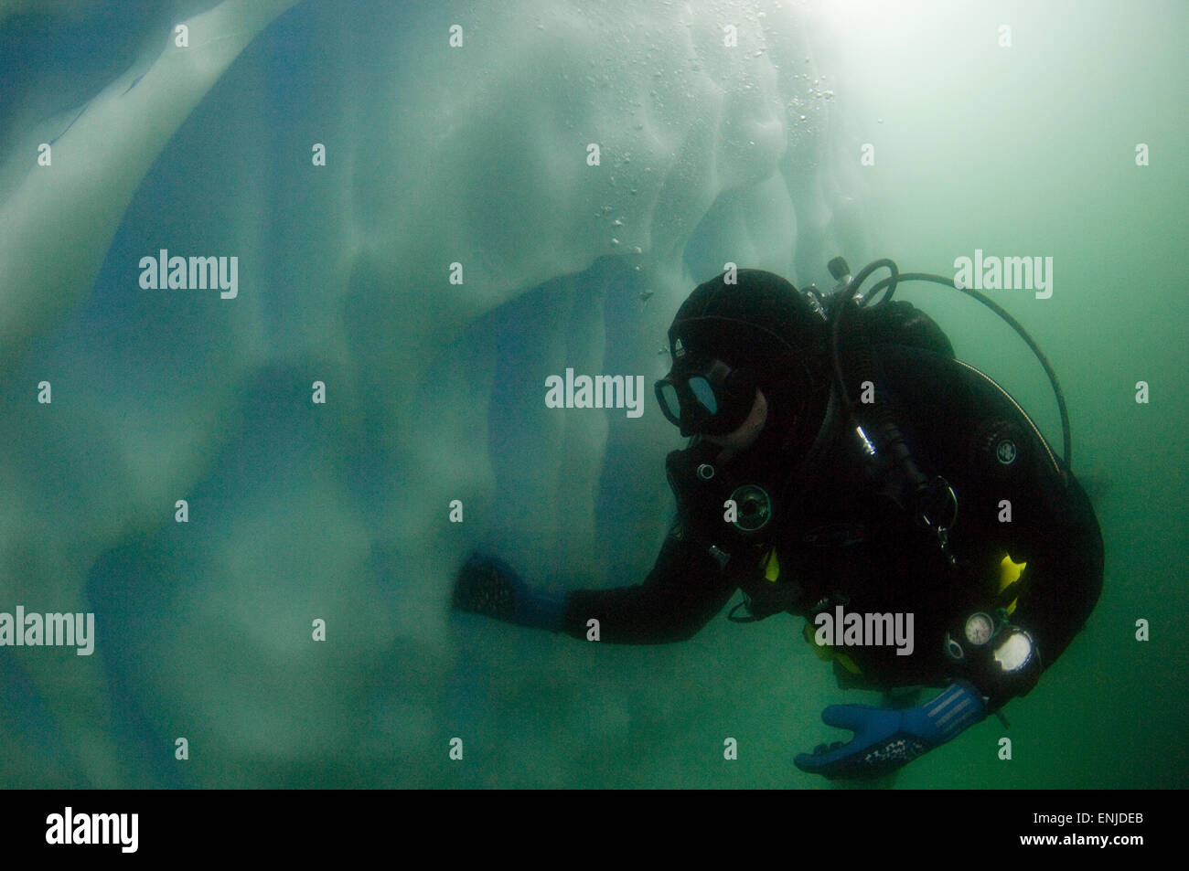 Diver diving an iceberg in Pléneau Bay Stock Photo - Alamy