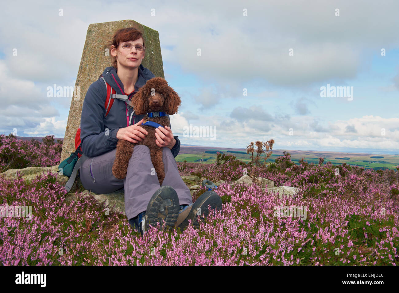 Woman with poodle hi-res stock photography and images - Alamy