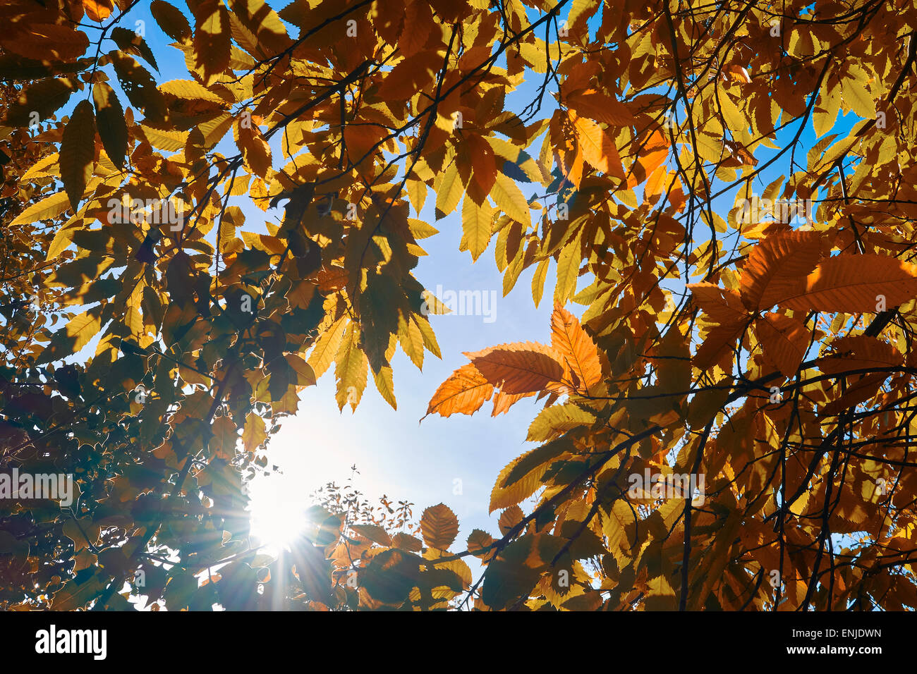 Turn to ash hi-res stock photography and images - Alamy