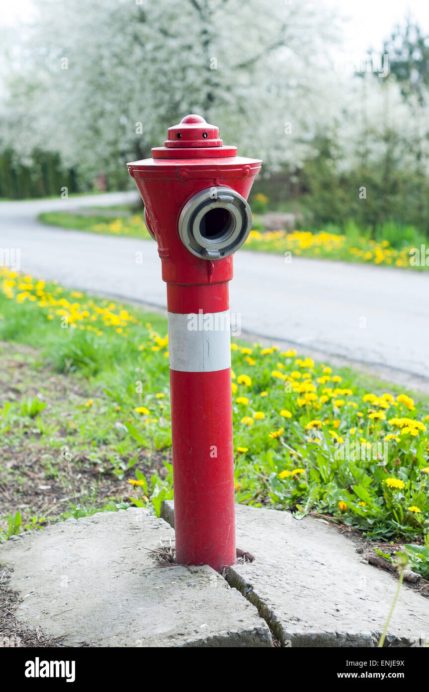 Red fire hydrant on the background of the road Stock Photo - Alamy