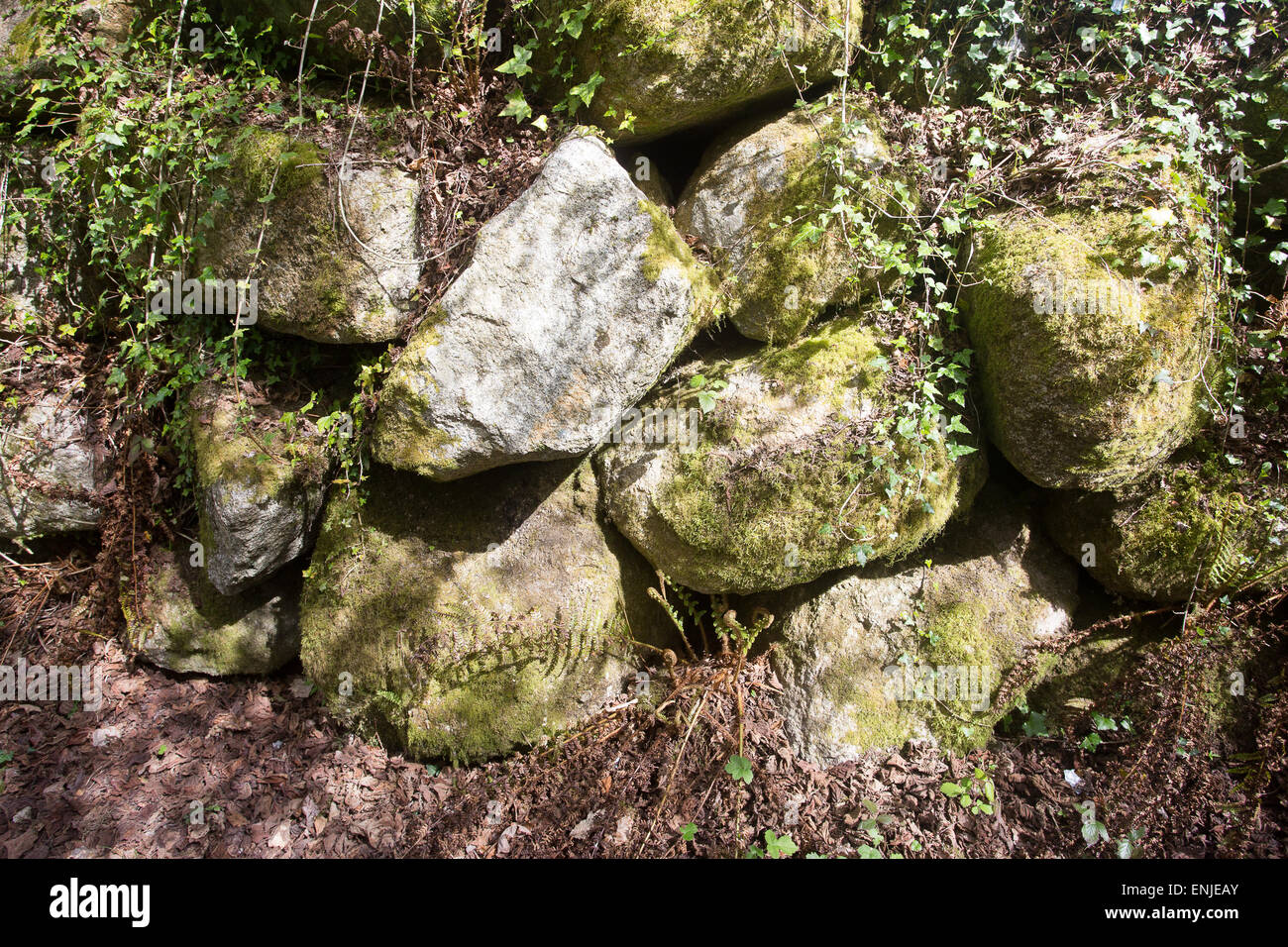 large rock wall moss vines overgrown Stock Photo - Alamy