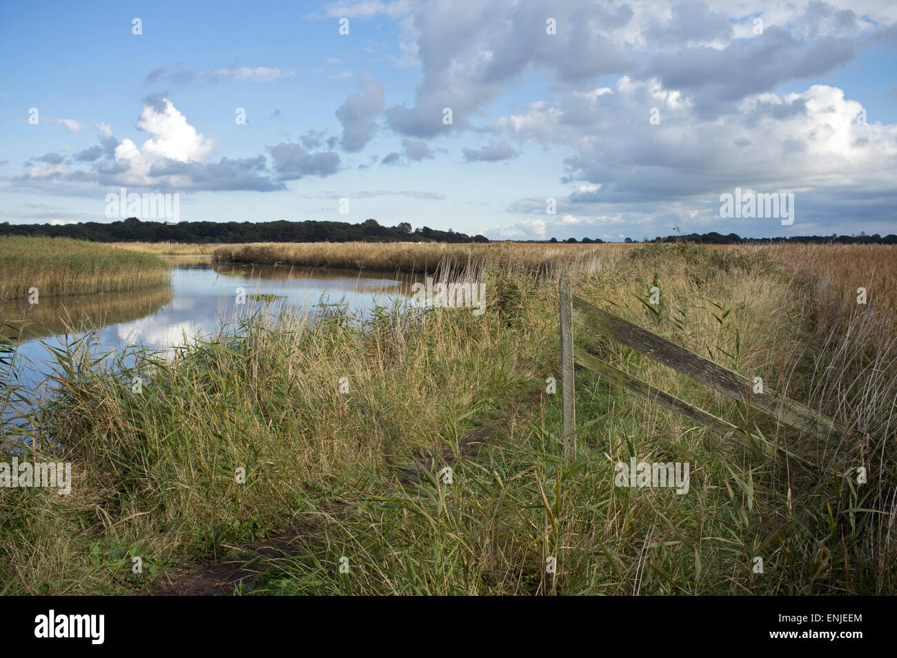 River Alde, Snape, Suffolk, UK Stock Photo - Alamy