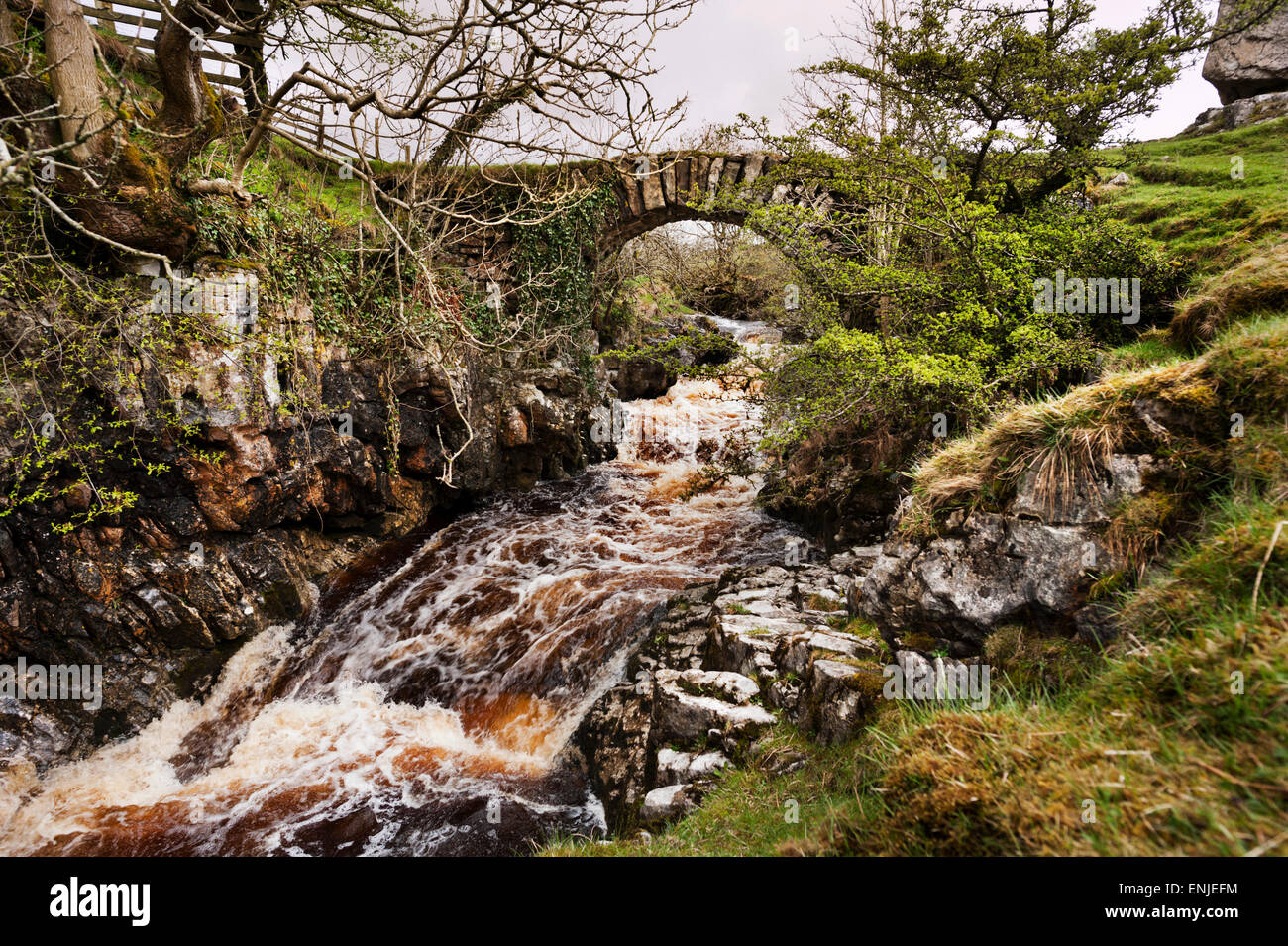 Historic Thorns Gill packhorse bridge, Gayle Beck, Gearstones ...