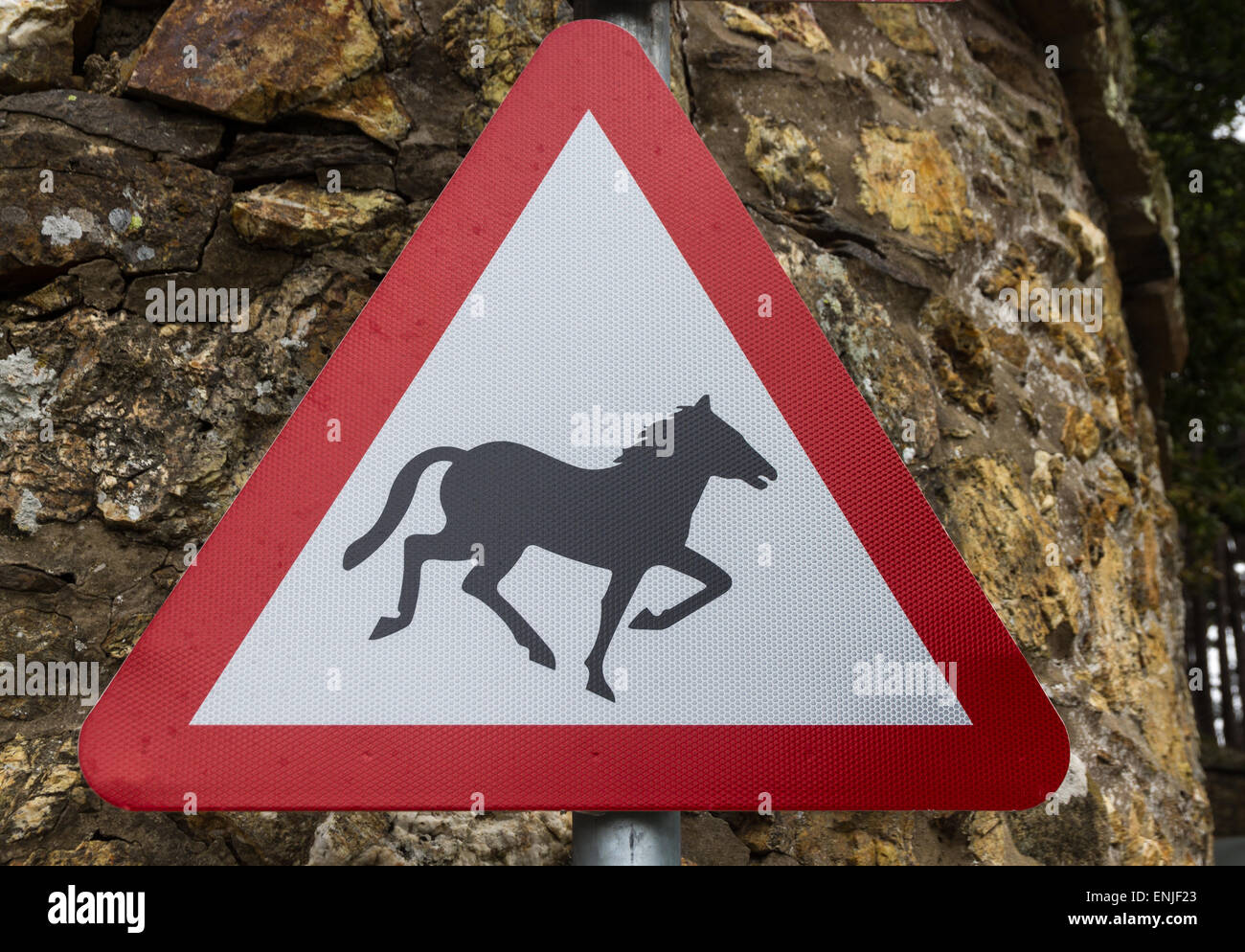 Pony silhouette hi-res stock photography and images - Alamy