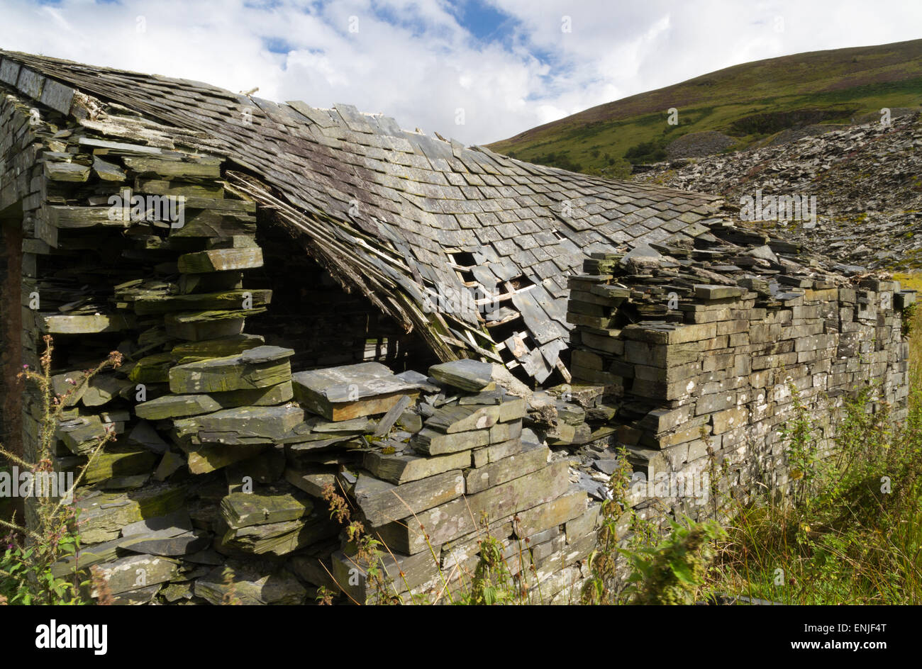 Derelict stone building, collapsing roof, Snowdonia, Wales, United ...