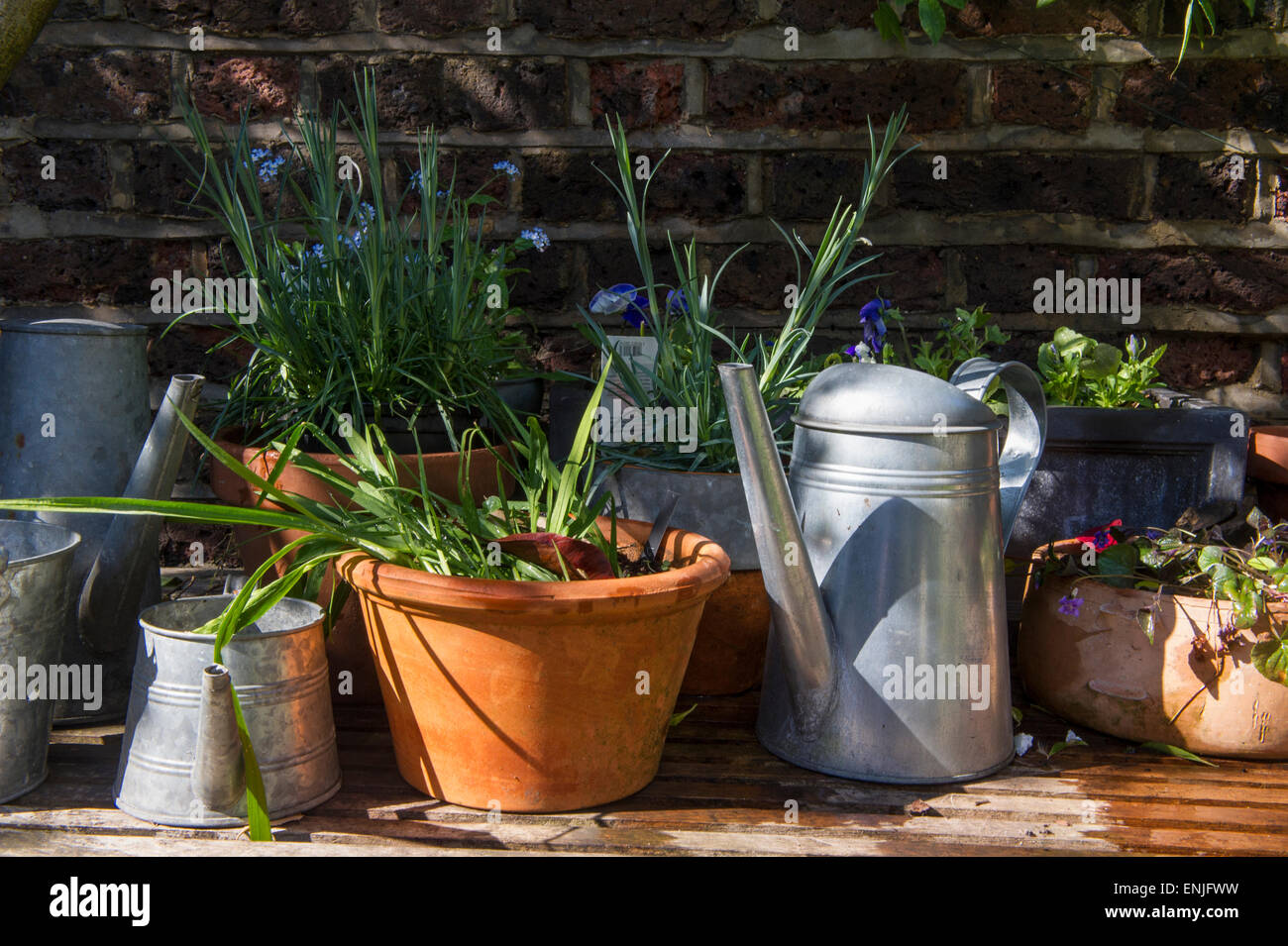 Display of watering cans hi-res stock photography and images - Alamy