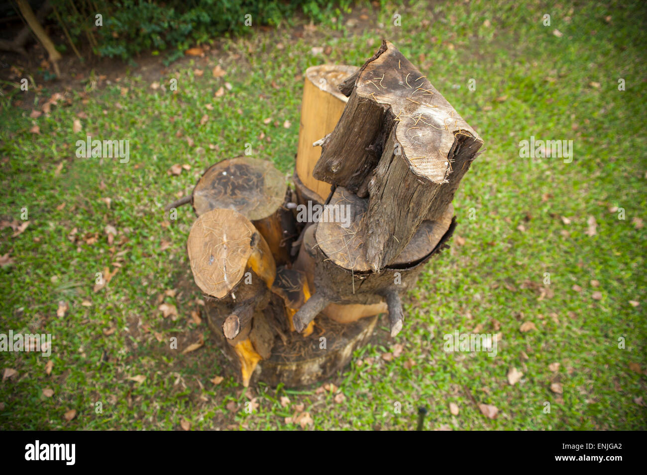 stump seats in the park, Garden furniture made from wooden log Stock ...