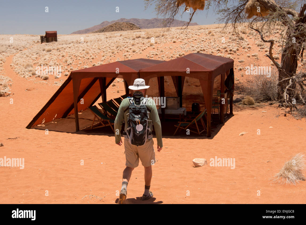 Tokkie hi-res stock photography and images - Alamy