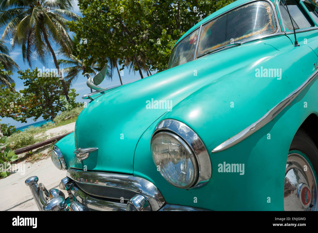 Classic American car detail in bright tropical turquoise blue with palm ...