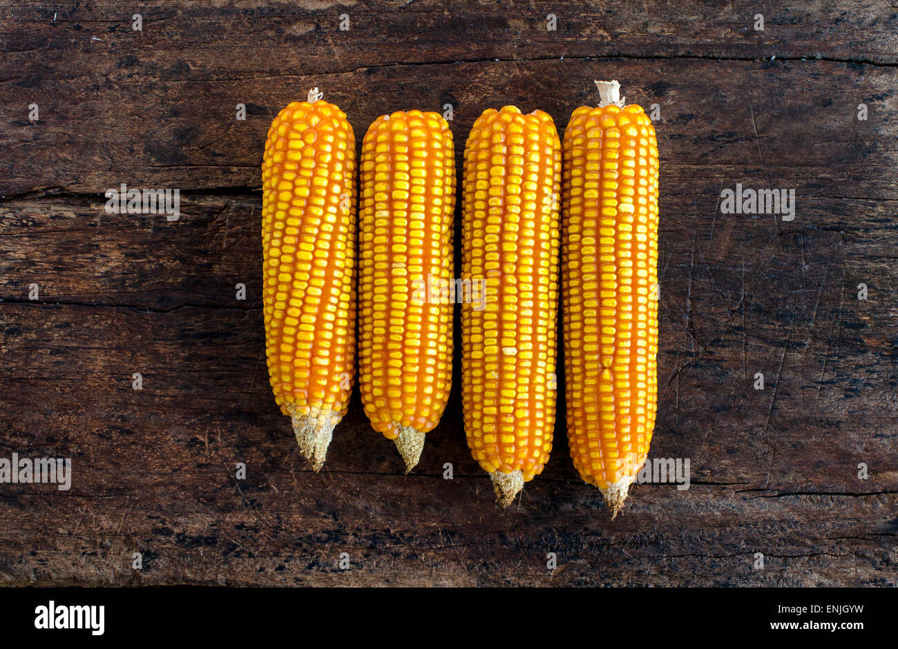 Bunch of corn cobs on a wooden background Stock Photo - Alamy
