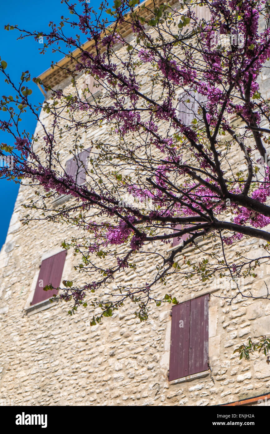 Traditional french architecture hi-res stock photography and images - Alamy