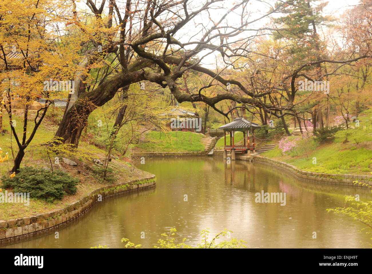 Spring at a Korean Palace Pond Stock Photo - Alamy