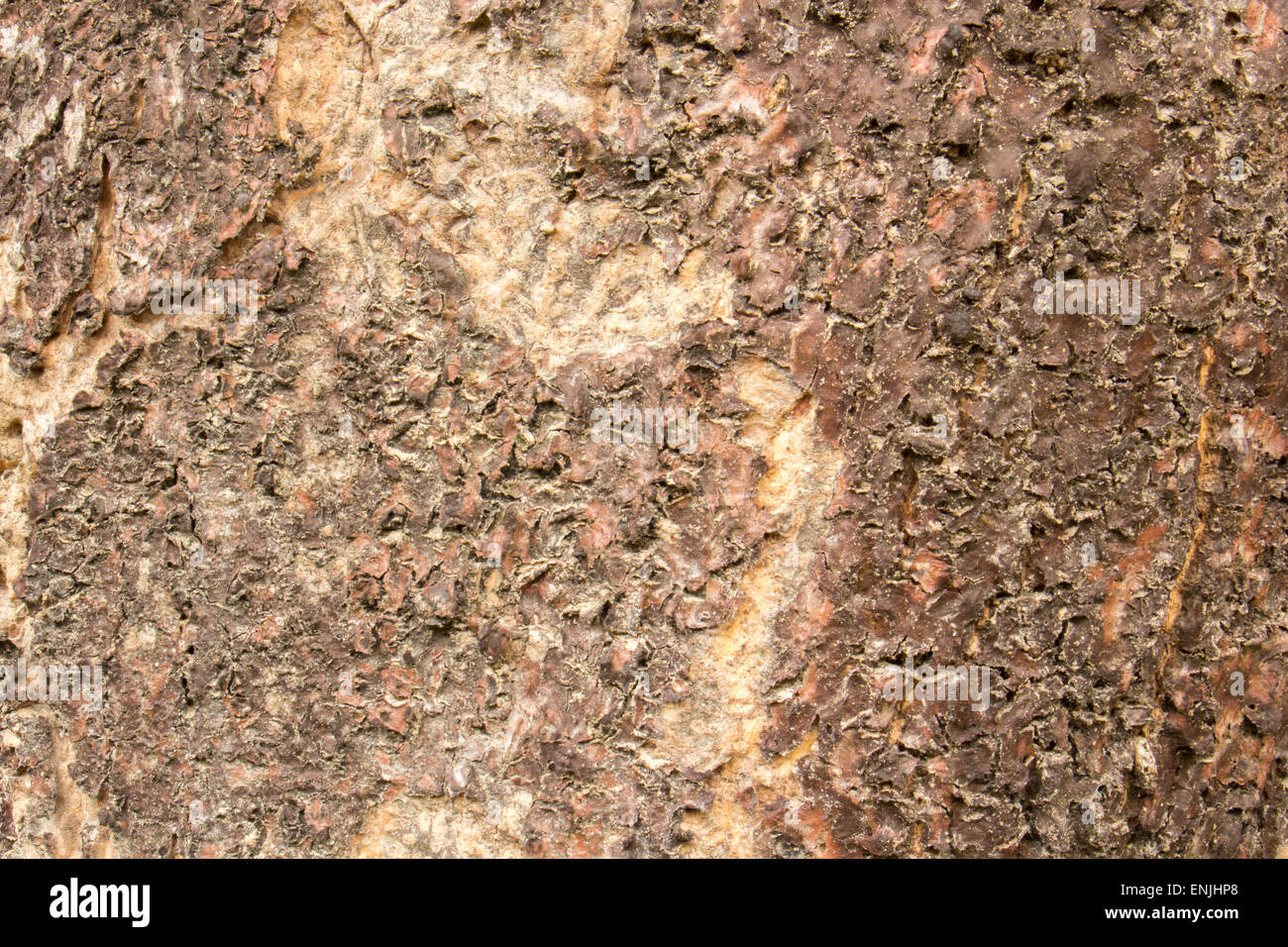 Bark, textures, backgrounds, rugged, shell, scene Stock Photo - Alamy