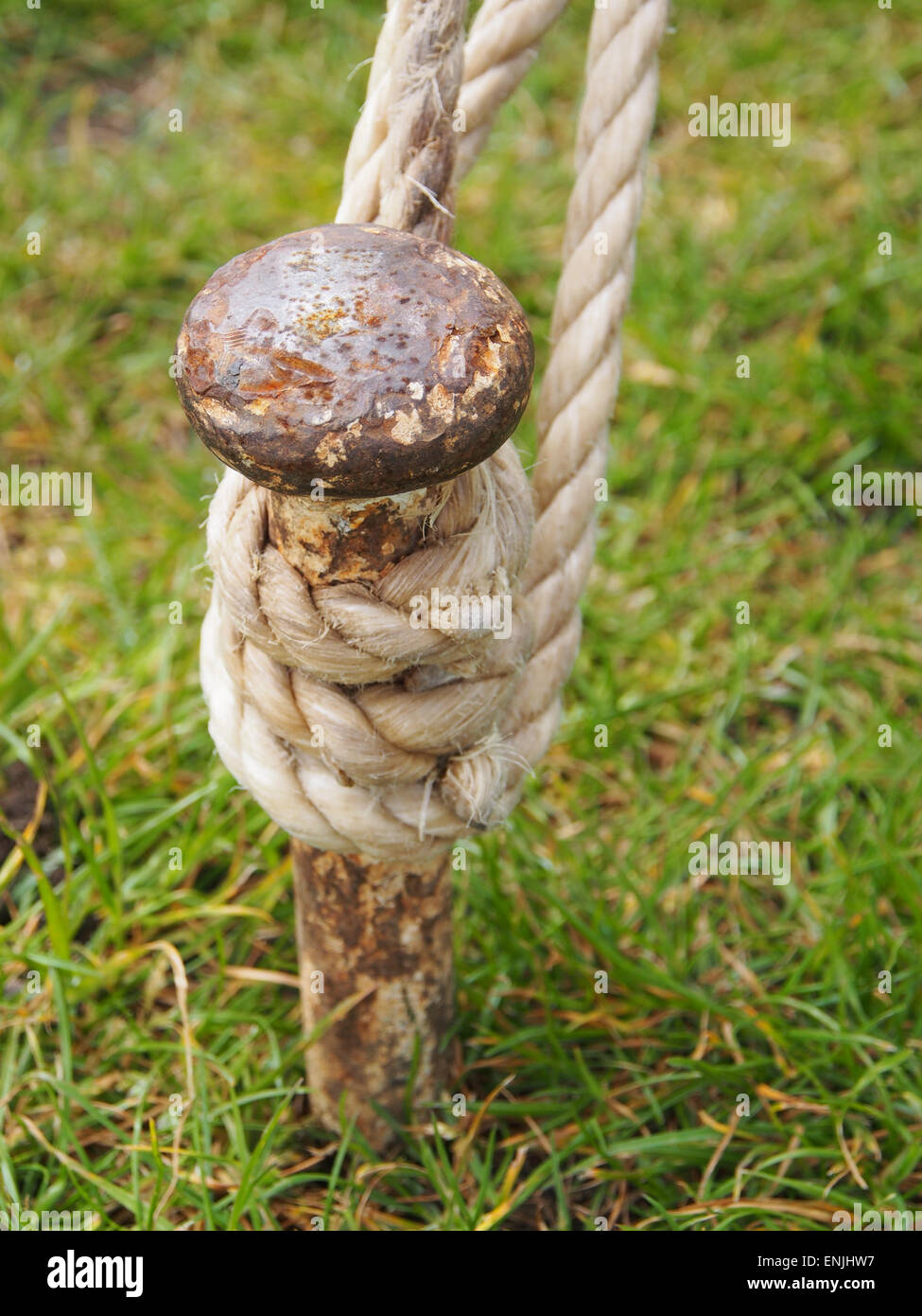 Marquee tent peg guide ropes hi-res stock photography and images - Alamy