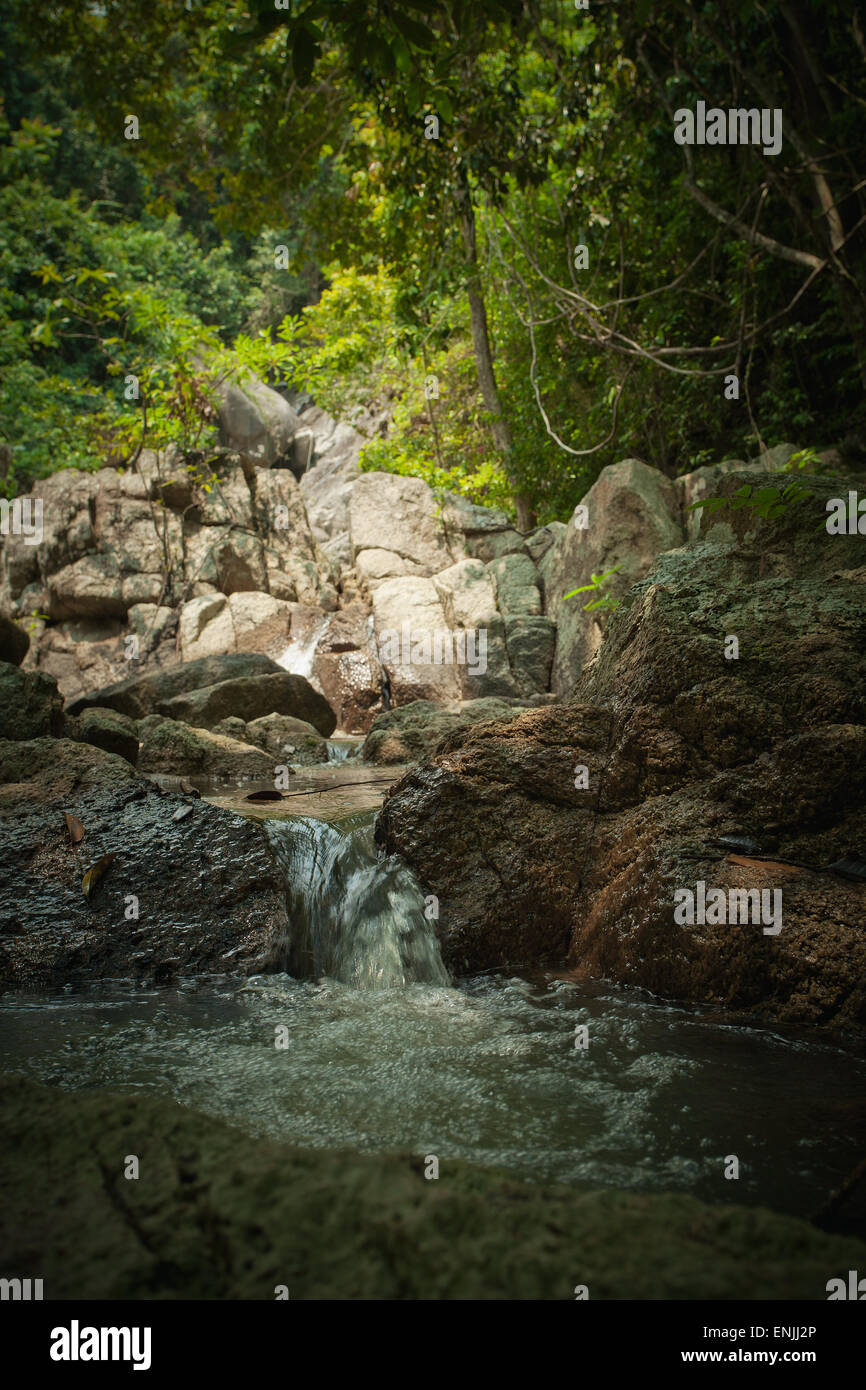 panoramic view of nice tropic jungle and huge boulders Stock Photo - Alamy
