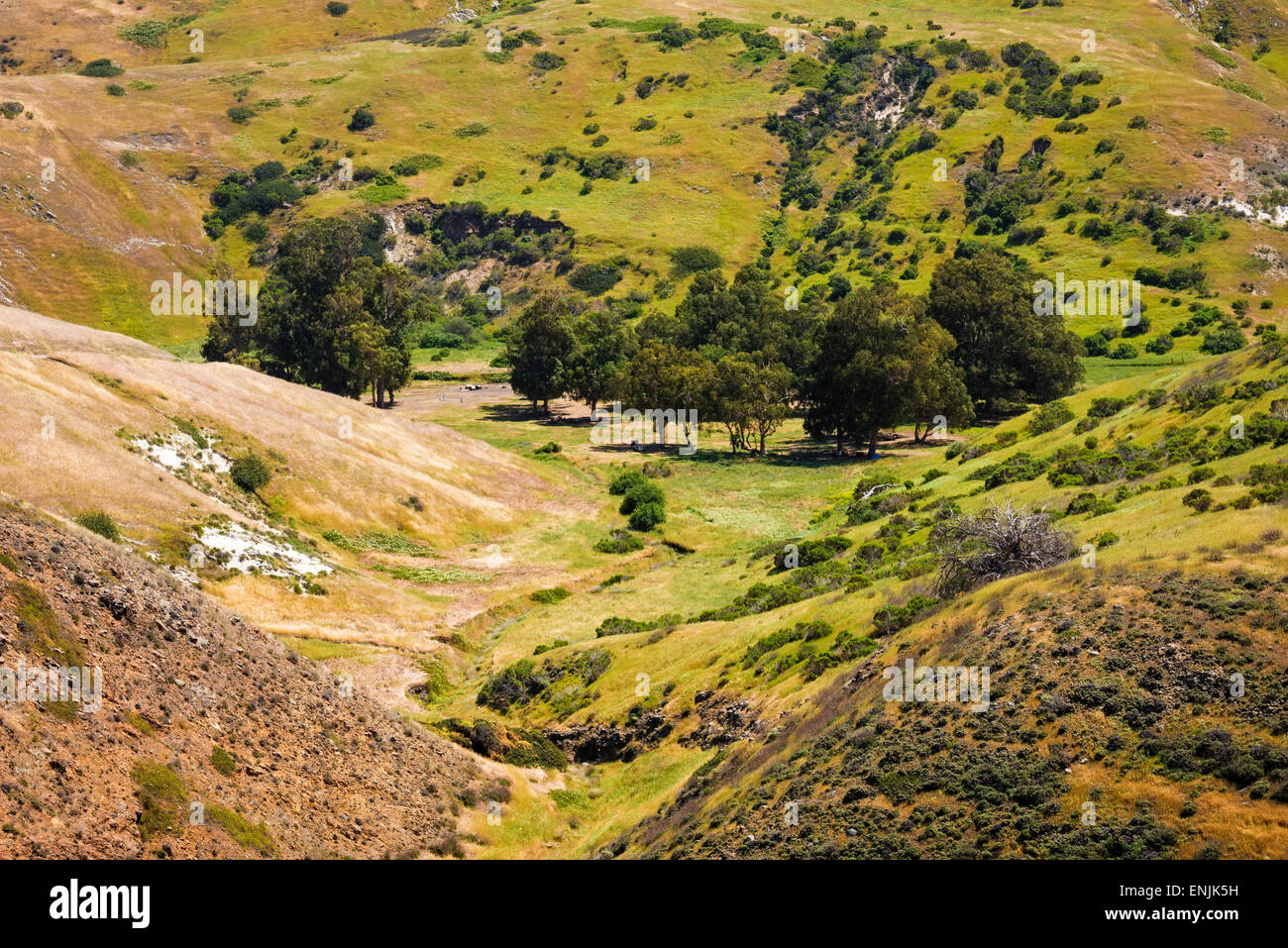 Scorpion Canyon campground, Santa Cruz Island, Channel Islands National ...