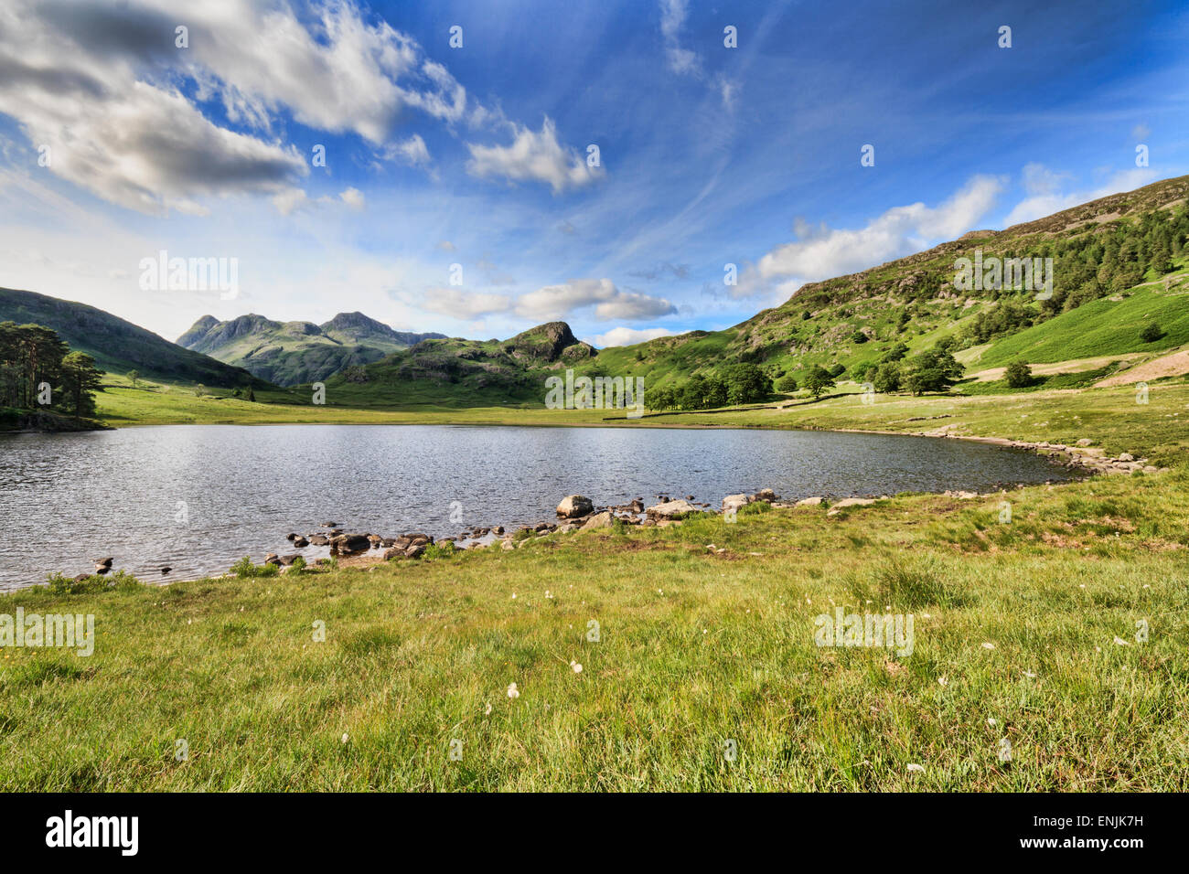 blea tarn in the lake district cumbria UK Stock Photo - Alamy