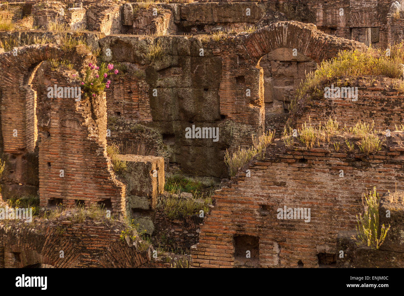 Historical plants hi-res stock photography and images - Alamy