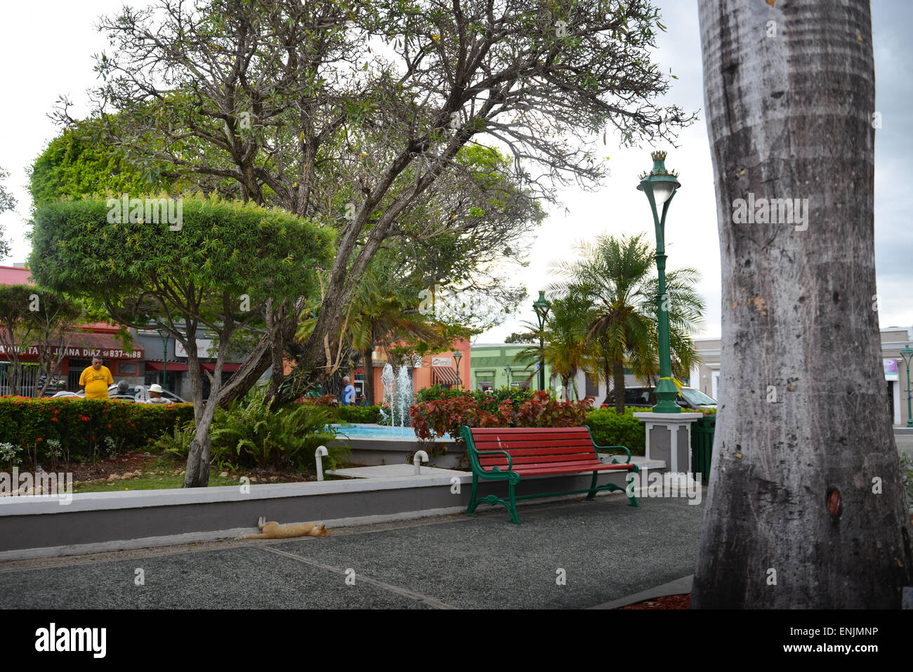 Plaza Román Baldorioty de Castro, lonely cat and red bench. Juana Diaz ...