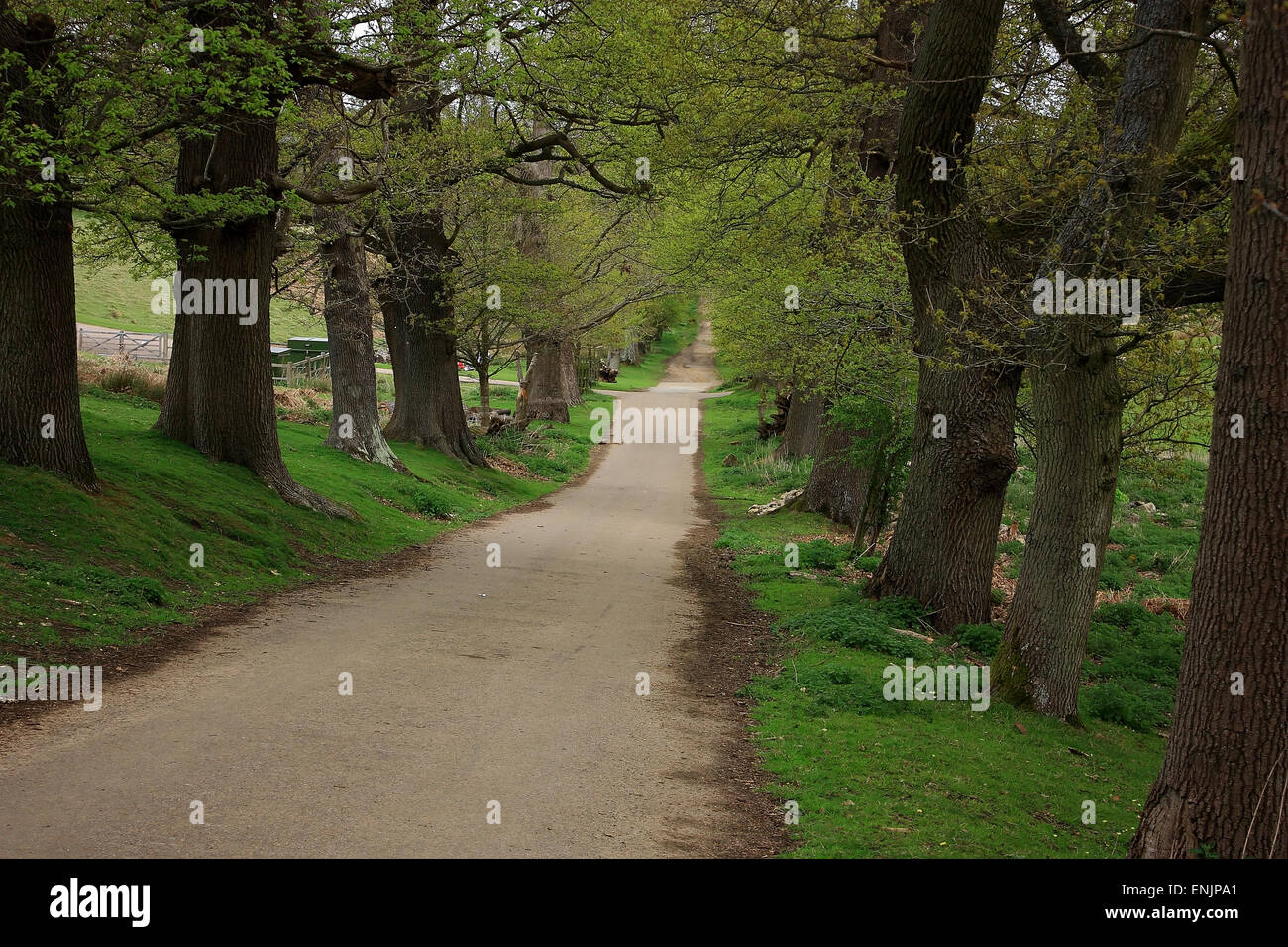 A footpath through the beautiful countryside in Kent Stock Photo - Alamy