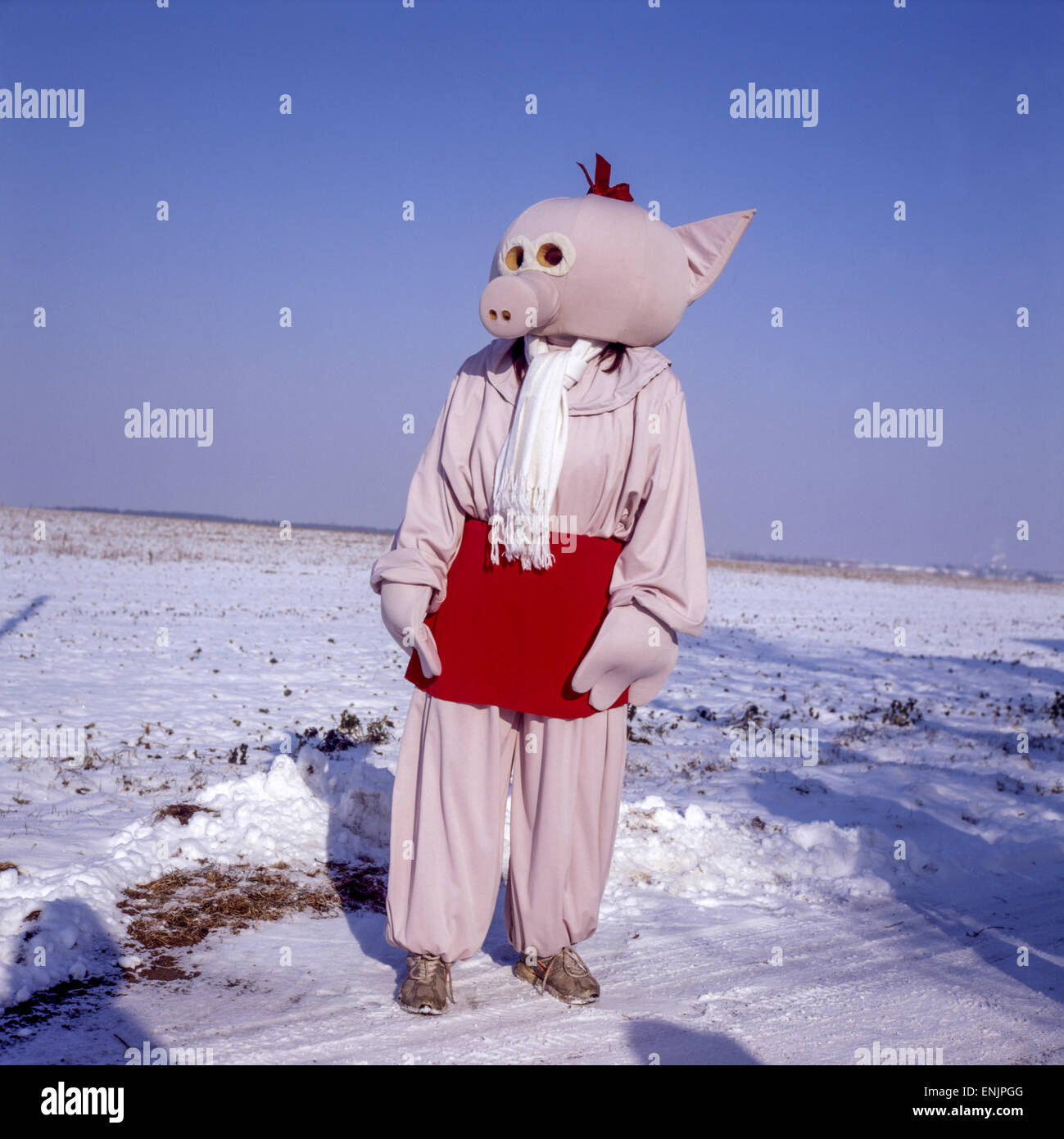 Pig Mask High Resolution Stock Photography and Images - Alamy