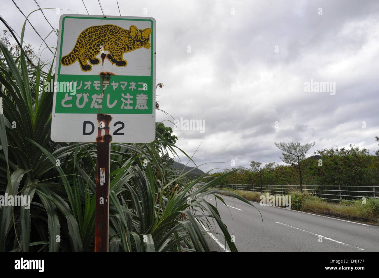 Iriomote hi-res stock photography and images - Alamy