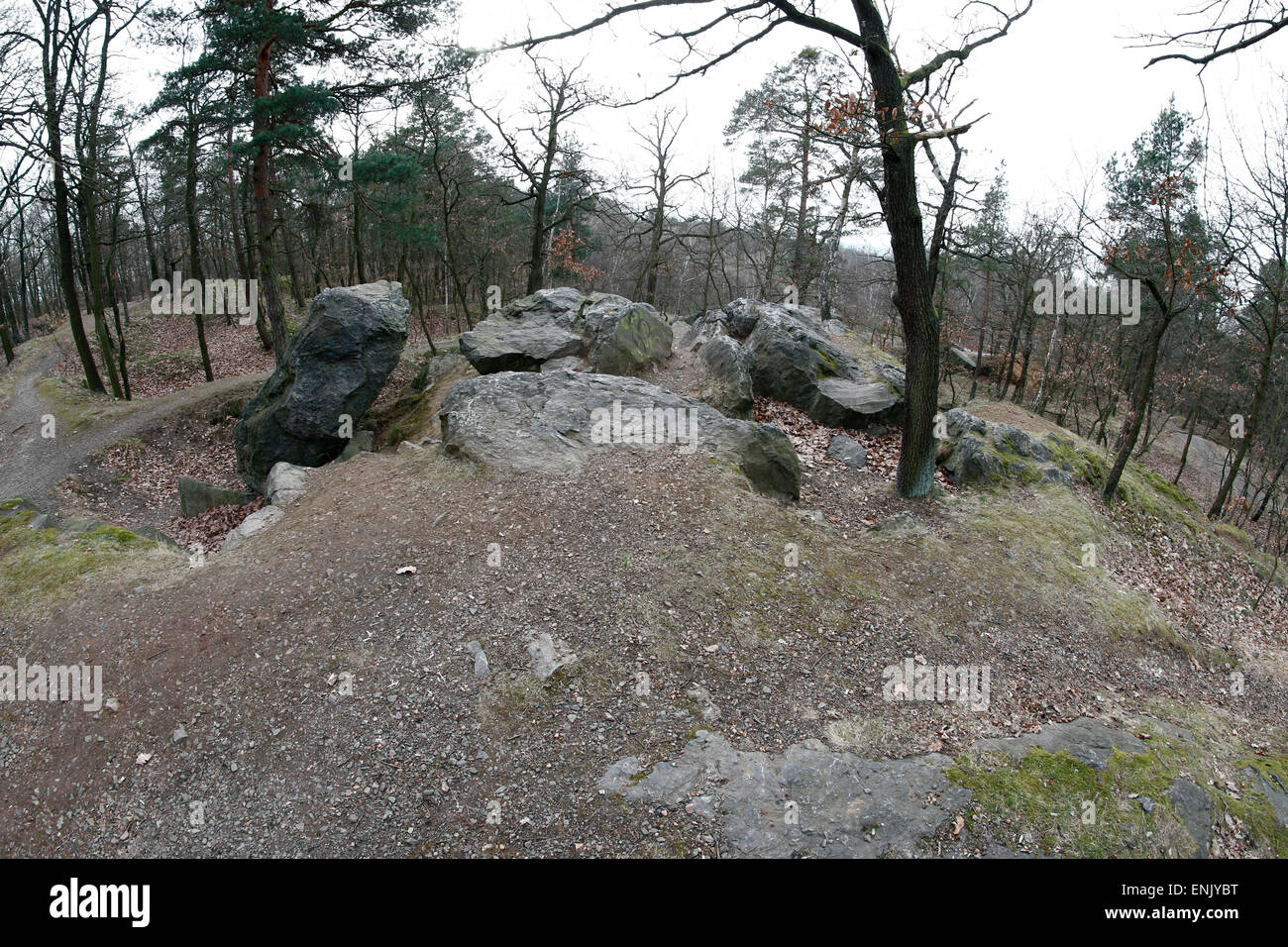 Stone pathway forest hi-res stock photography and images - Alamy