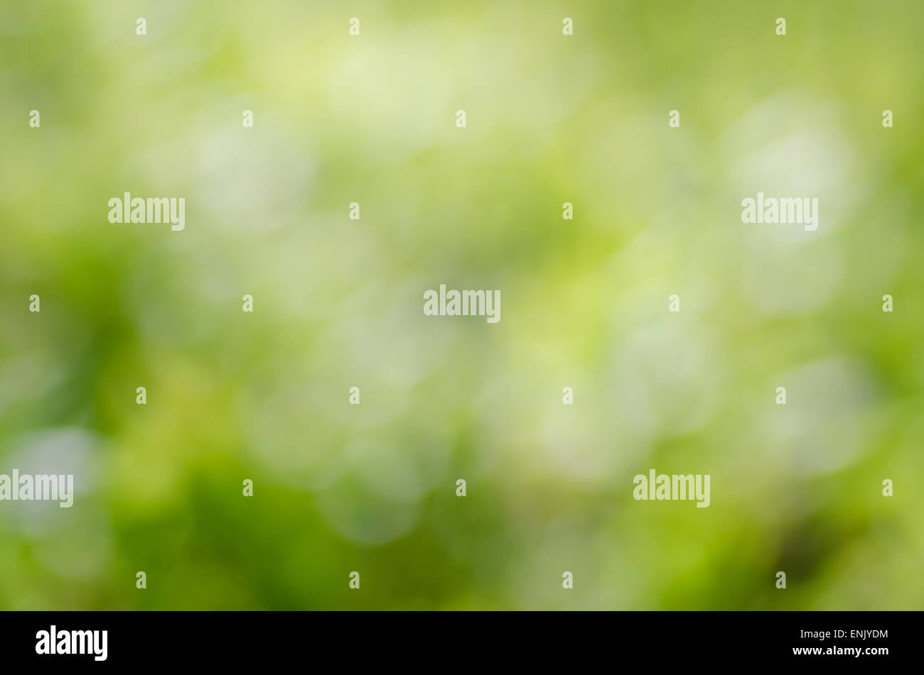 Abstract spring green background hi-res stock photography and images ...