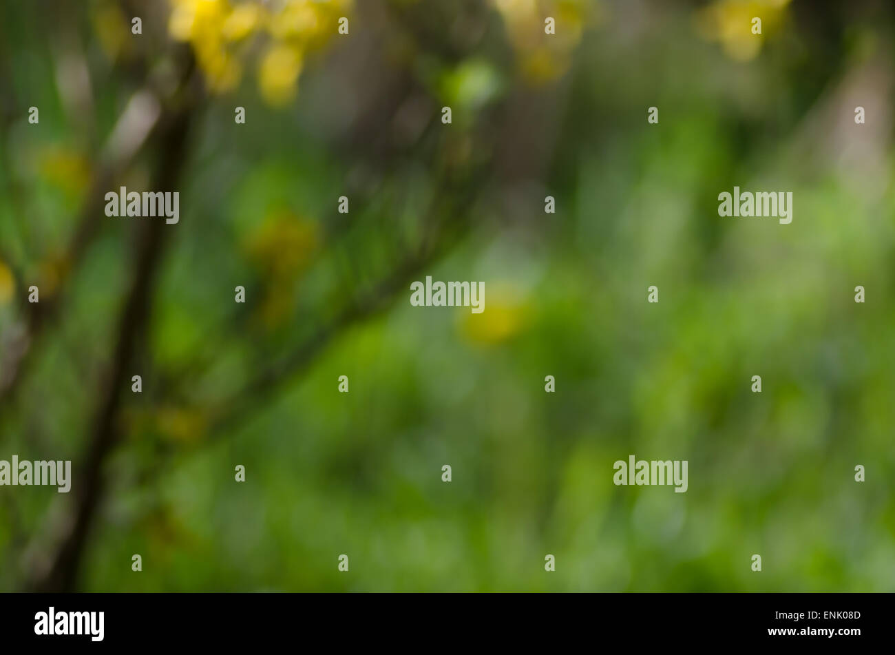 Abstract spring colors bright background hi-res stock photography and ...