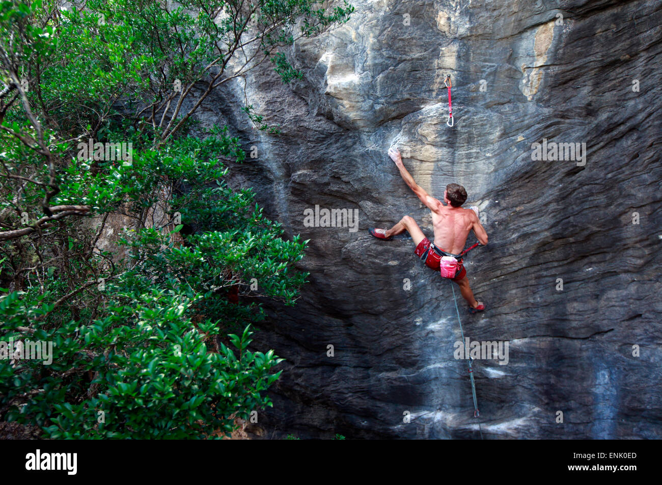 A climber scaling limestone cliffs in the jungle at Serra do Cipo ...